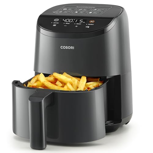 Best Mini Air Fryers Reviewed and Ranked 2025